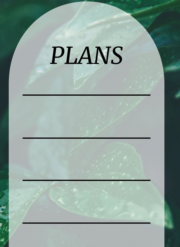 Big Plans – The World of Dlo